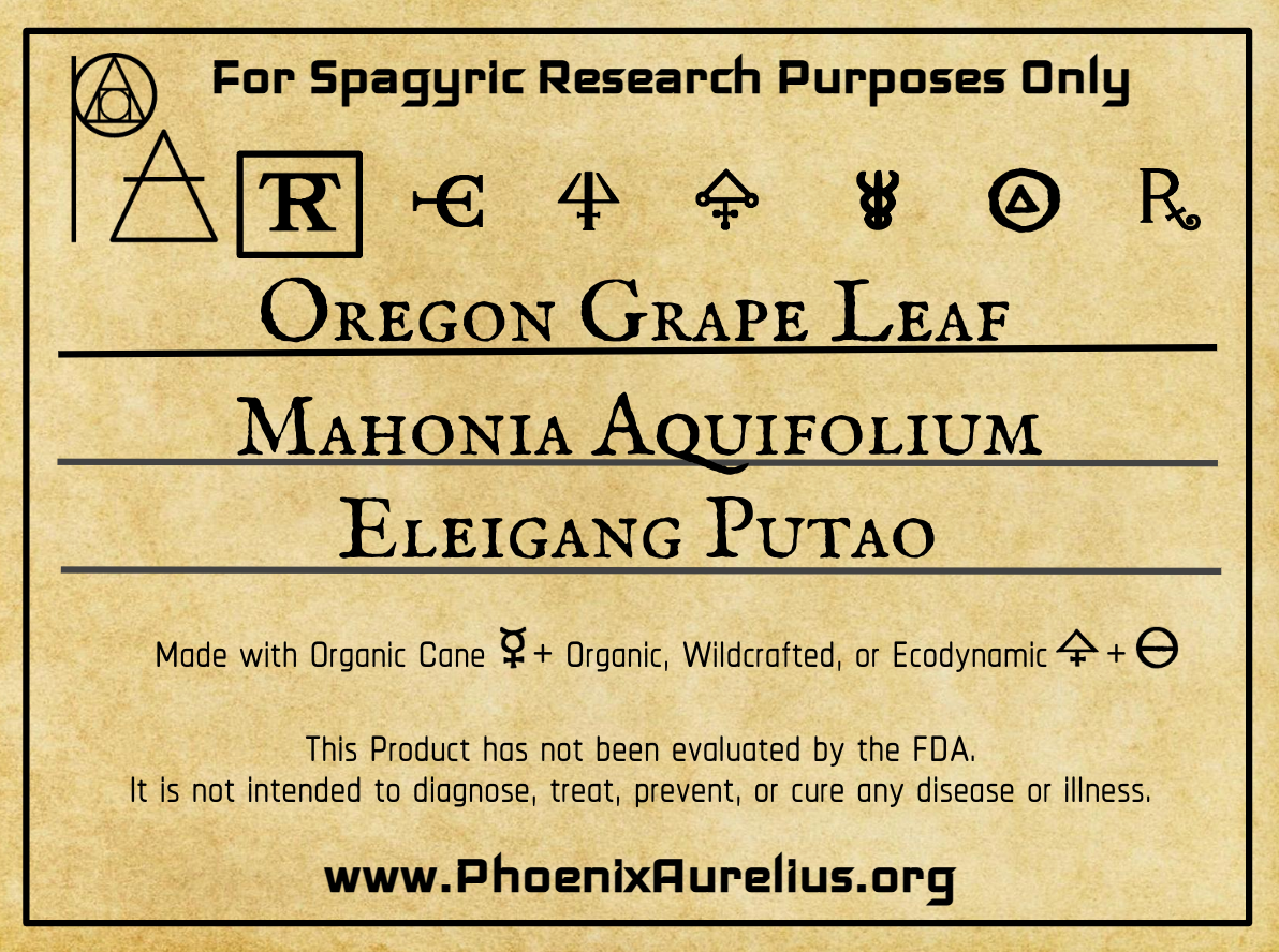 Oregon Grape Leaf Spagyric Tincture – Phoenix Aurelius Research Academy