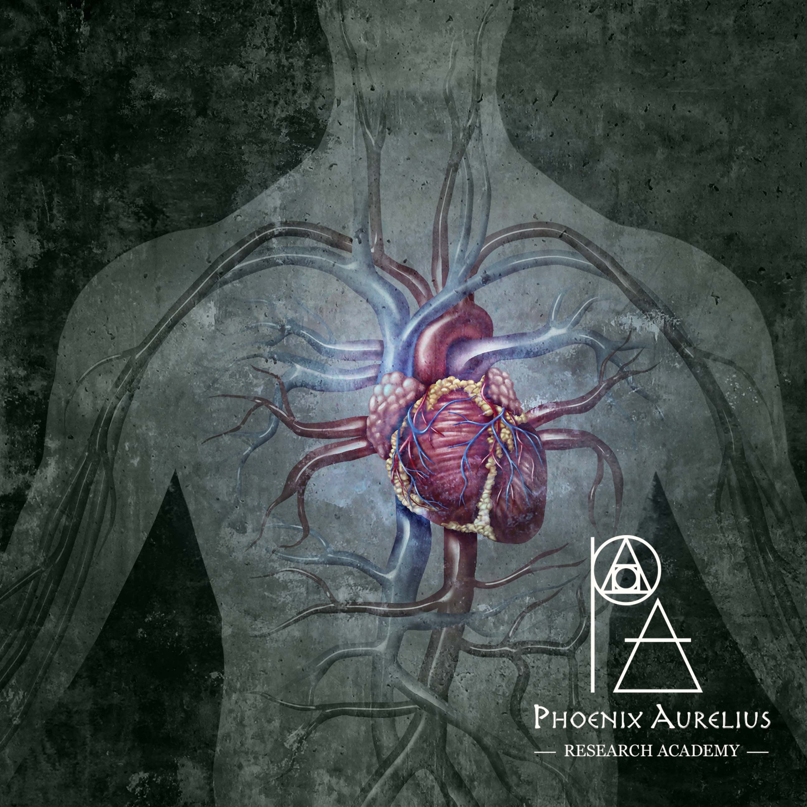 Cardiovascular IDF's – Phoenix Aurelius Research Academy