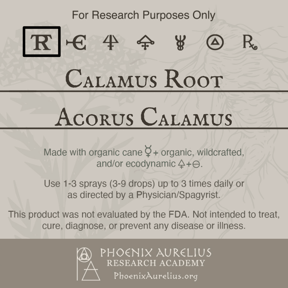 Calamus Root Spagyric Tincture – Phoenix Aurelius Research Academy
