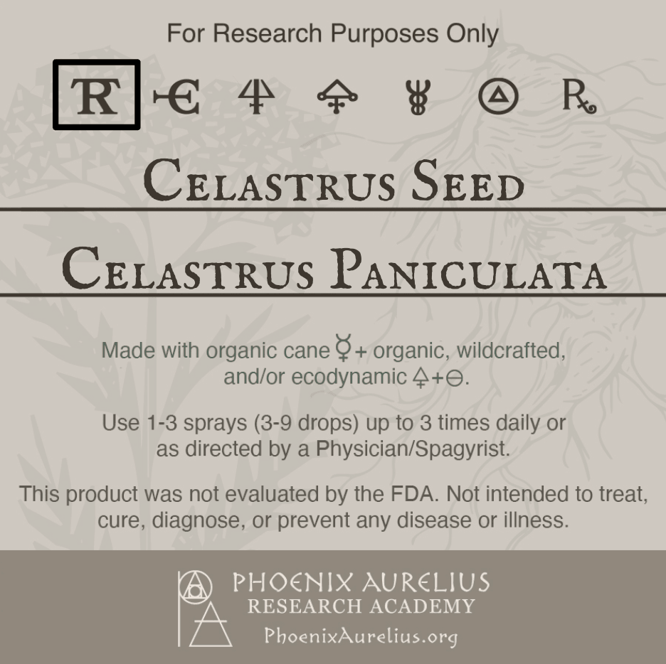 Celastrus Seed Spagyric Tincture – Phoenix Aurelius Research Academy