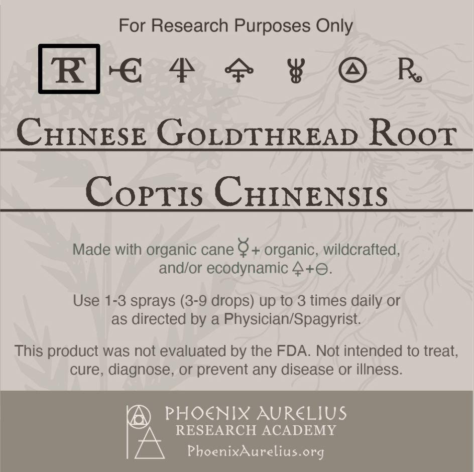 Chinese Goldthread Root Spagyric Tincture – Phoenix Aurelius Research ...