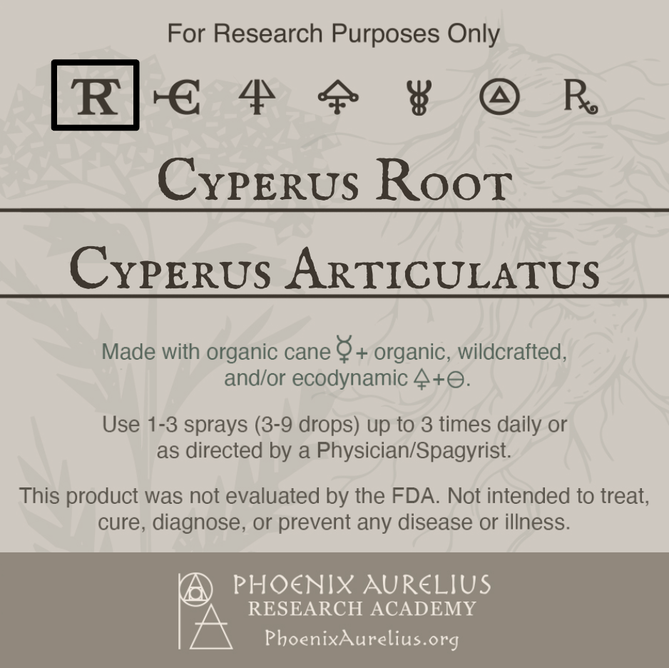 Cyperus Root Spagyric Tincture – Phoenix Aurelius Research Academy