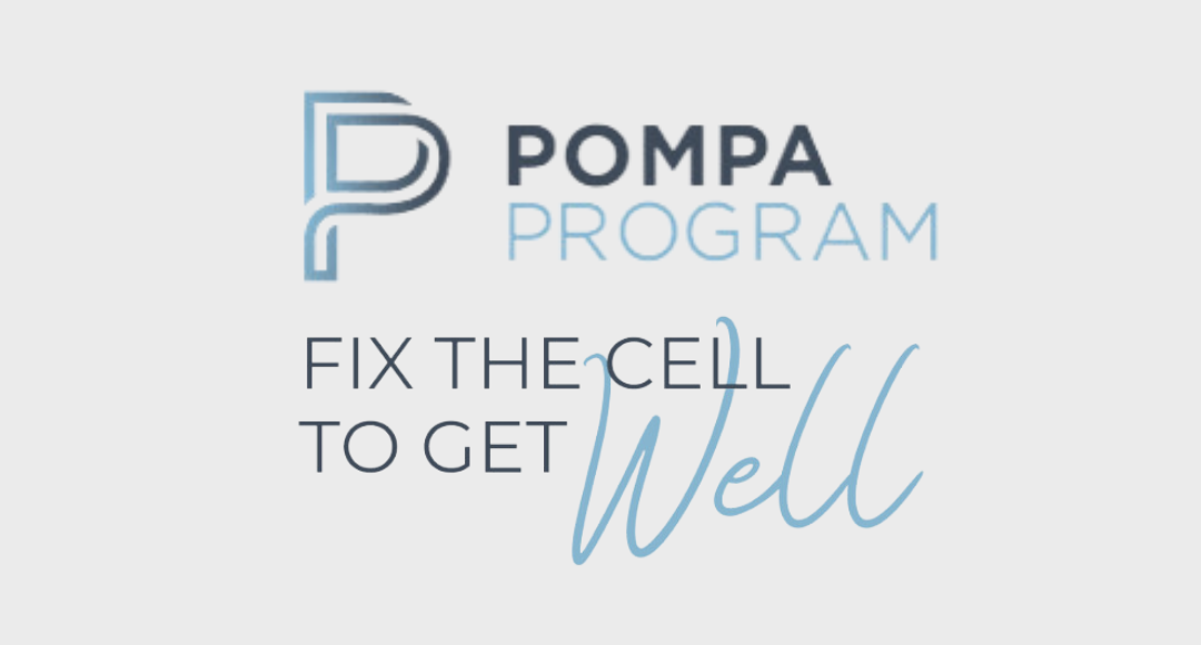 Trusted Partners & Friends – Phoenix Aurelius Research Academy