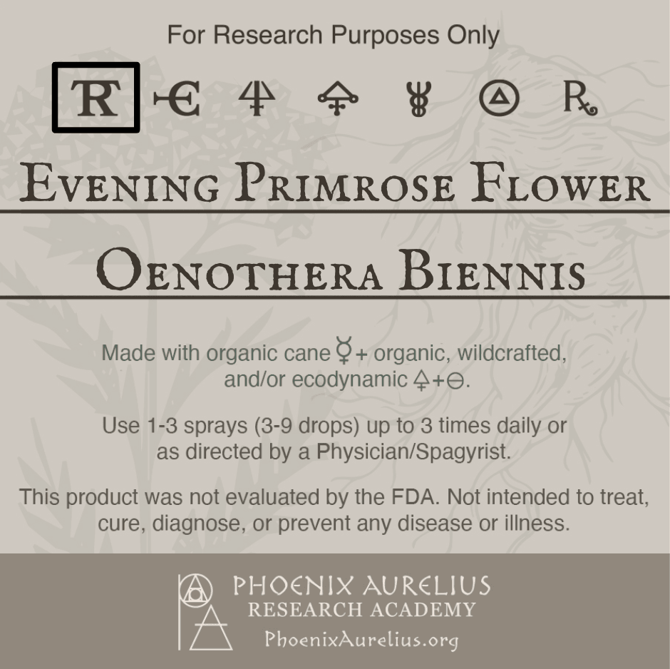 Evening Primrose Flower Spagyric Tincture – Phoenix Aurelius Research ...
