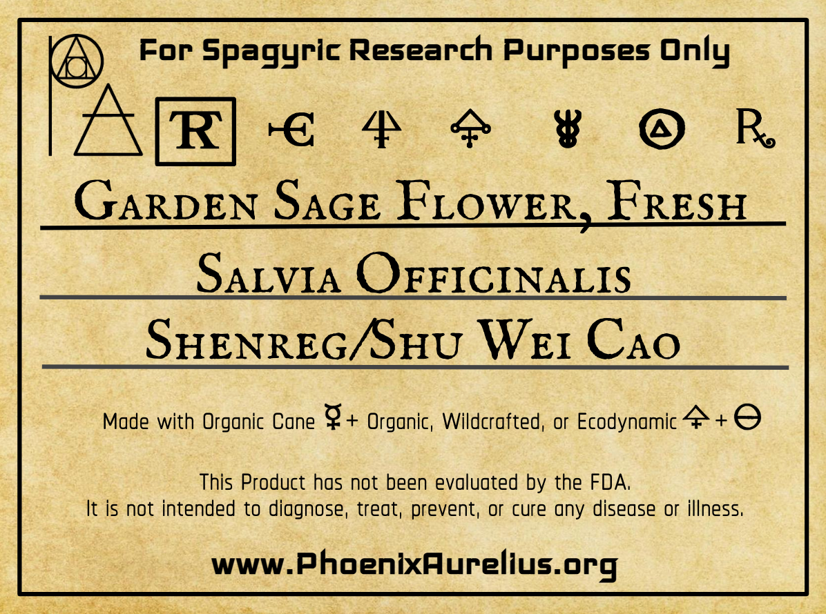 Garden Sage Flower, Fresh, Spagyric Tincture – Phoenix Aurelius ...