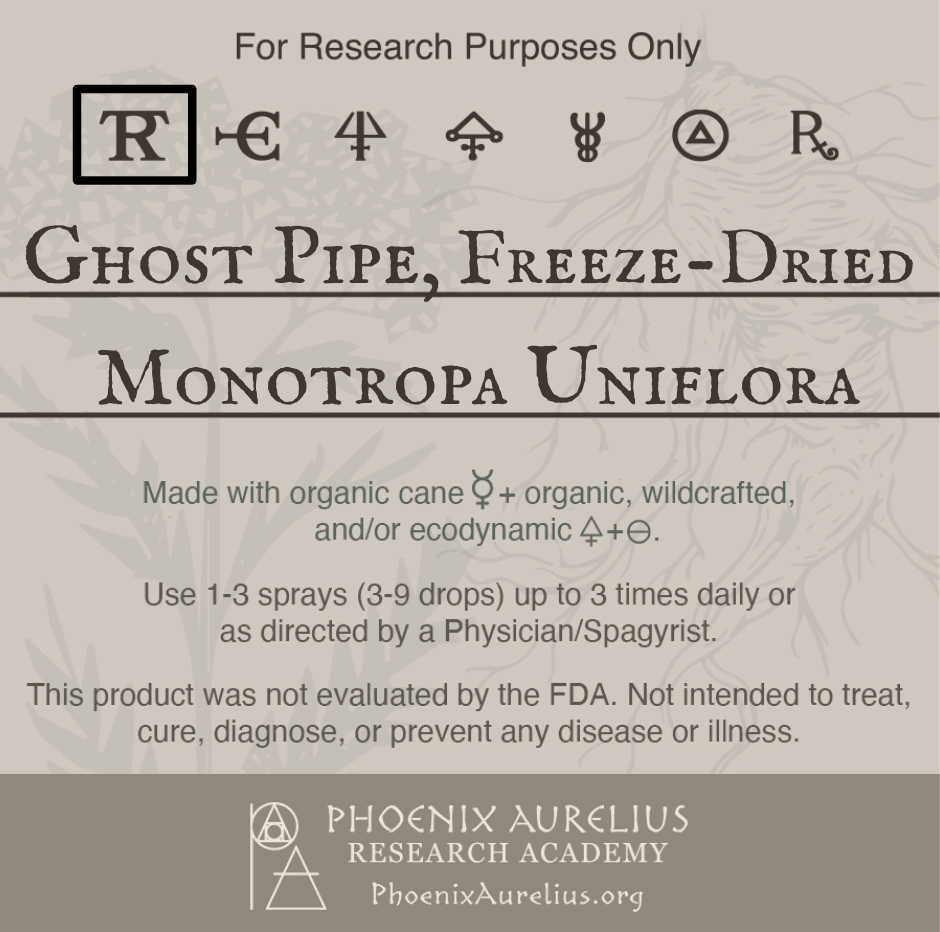 The Magic Of Ghost Pipe – Phoenix Aurelius Research Academy