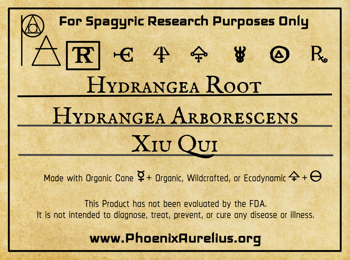 Hydrangea Root Spagyric Tincture – Phoenix Aurelius Research Academy