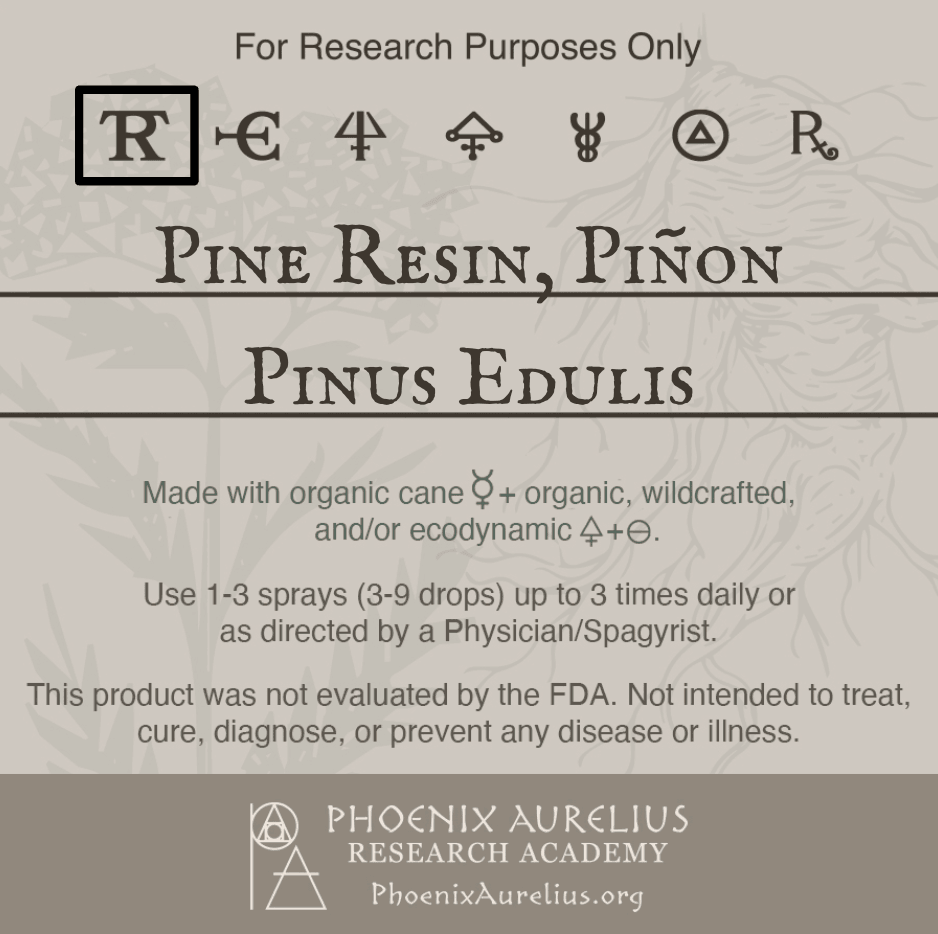 Pine Resin, Piñon, Spagyric Tincture – Phoenix Aurelius Research Academy
