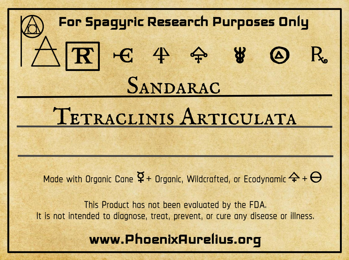Sandarac Spagyric Tincture – Phoenix Aurelius Research Academy