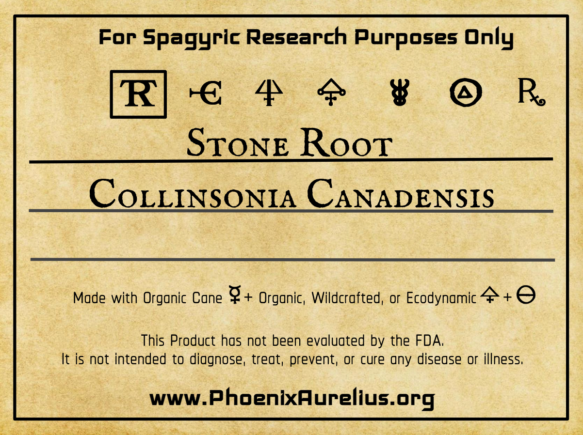 Stone Root Spagyric Tincture – Phoenix Aurelius Research Academy