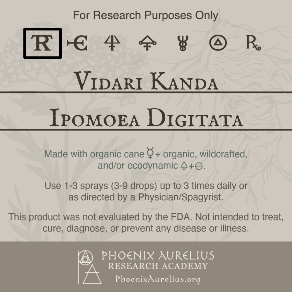 Vidari Kanda Spagyric Tincture – Phoenix Aurelius Research Academy