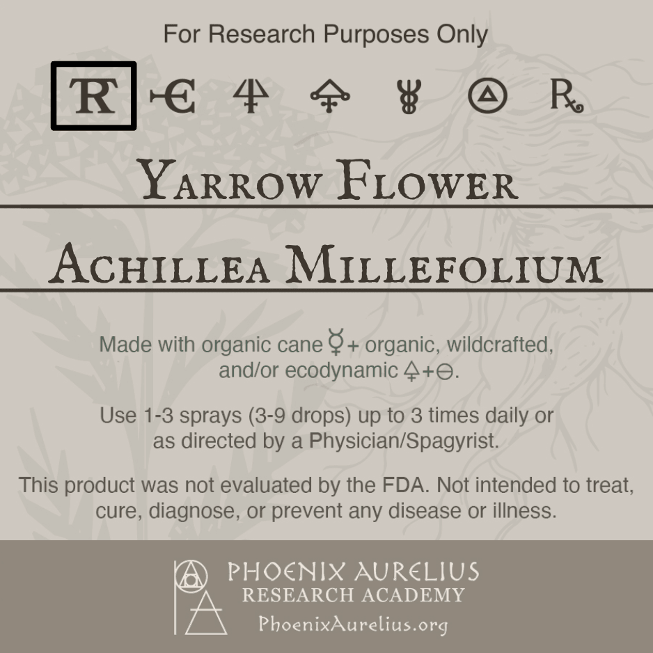 Yarrow Flower Spagyric Tincture – Phoenix Aurelius Research Academy