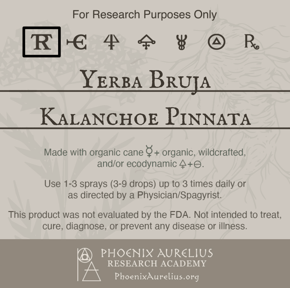 Yerba Bruja Spagyric Tincture – Phoenix Aurelius Research Academy