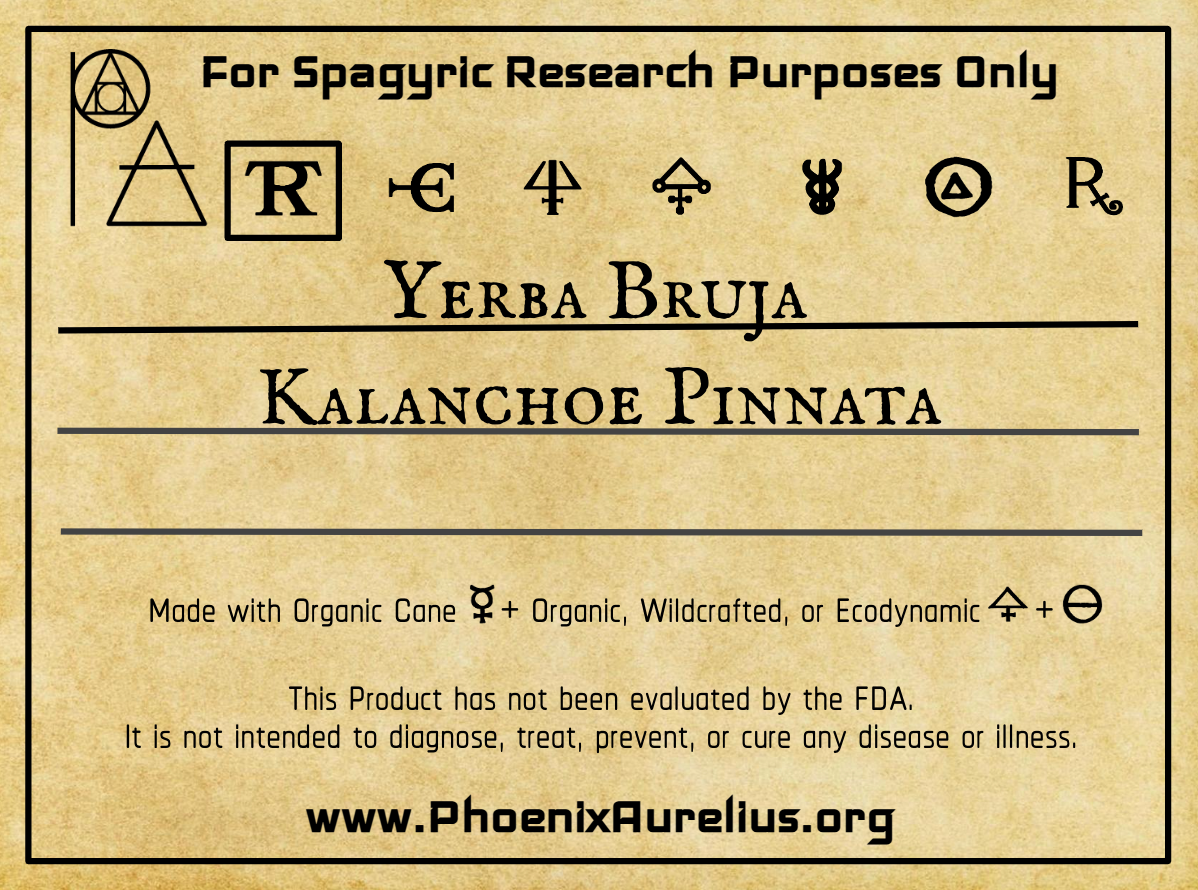 Yerba Bruja Spagyric Tincture – Phoenix Aurelius Research Academy