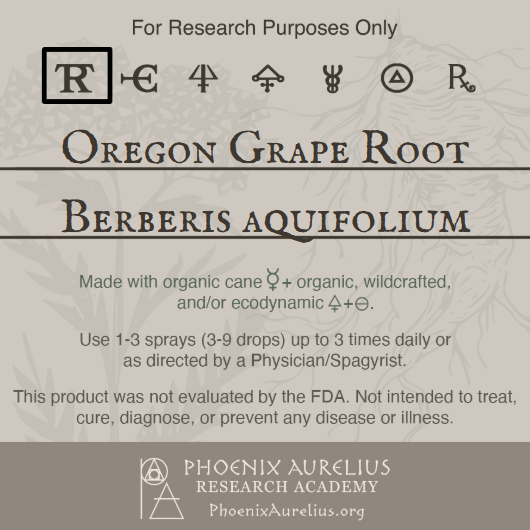 Oregon Grape Root Spagyric Tincture – Phoenix Aurelius Research Academy
